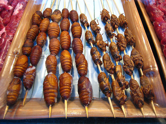 The Top 10 Craziest Street Foods in the World